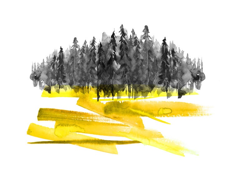 Yellow Cedar Lumber Products - POCO Building Supplies